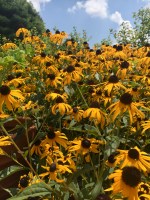 Ash Mayes – A portfolio centering the intersections of composition and ...